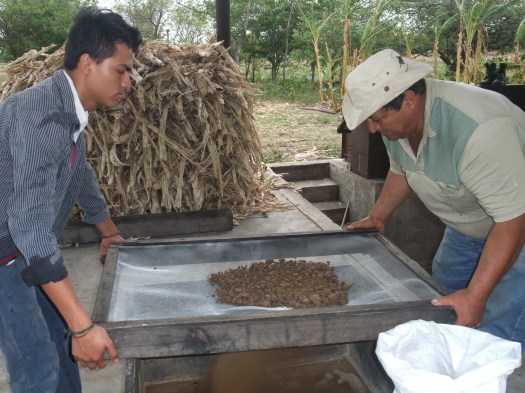 Cernido – MÉXICO TIERRA VIVA: Alianza para la Protección a la ...