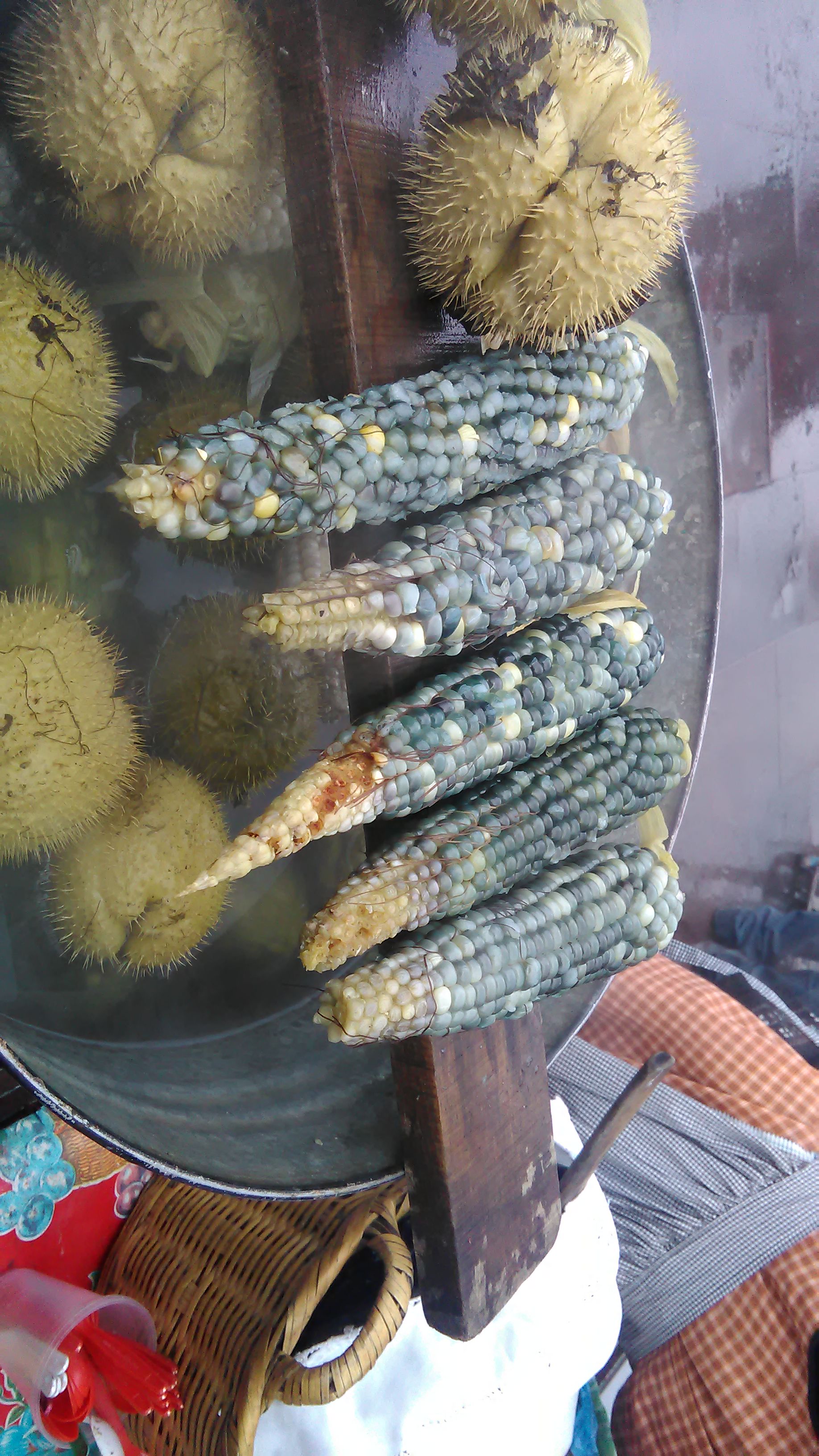 elotes-azules-cheran – MÉXICO TIERRA VIVA: Alianza Campo Ciudad para la ...